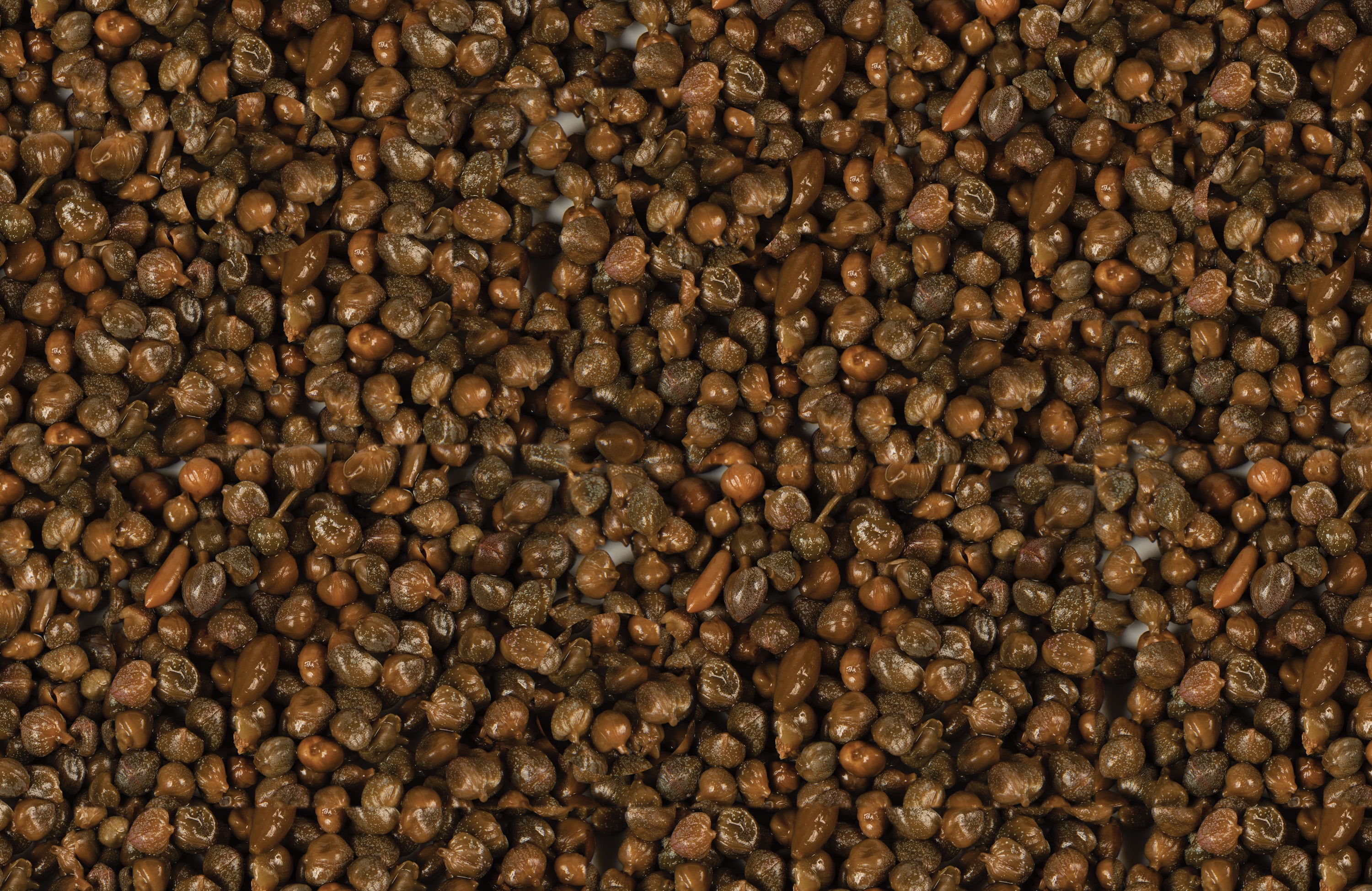 Eatcapers.com - Capers From Italy – A&J Savittieri